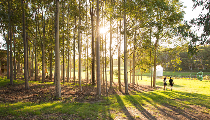 Macquarie University campus to be powered by renewables | The Lighthouse